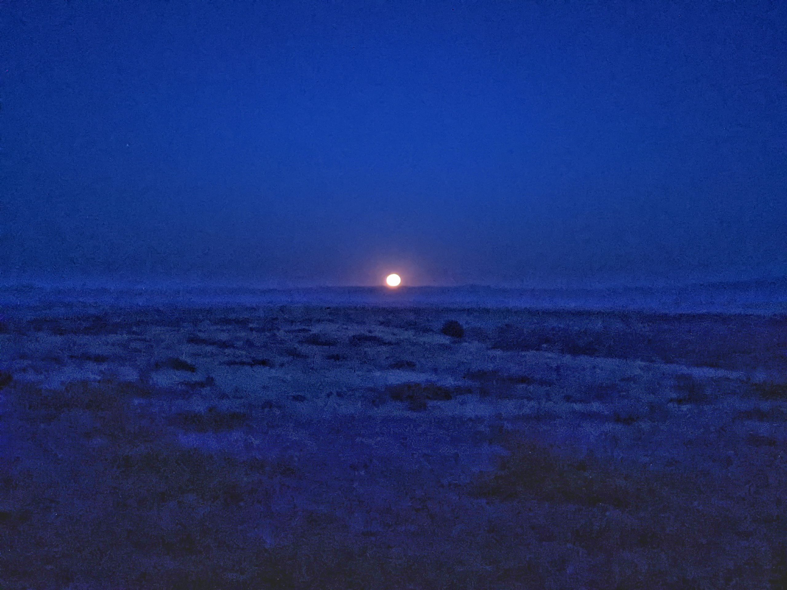 Gizmo Arts » Bad Moon Photos